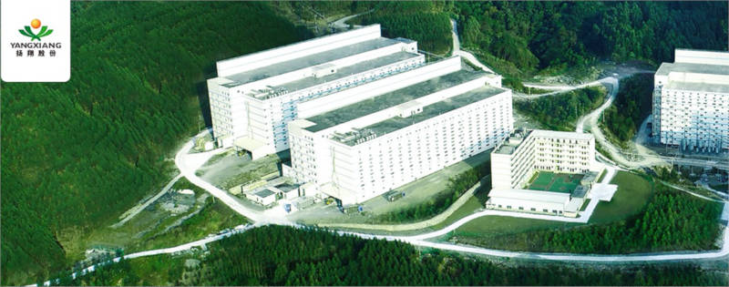 Corea del Sur y China proyectan granjas porcinas verticales con IA