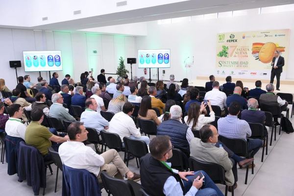 El sector de la patata nueva analiza sus retos en Sevilla